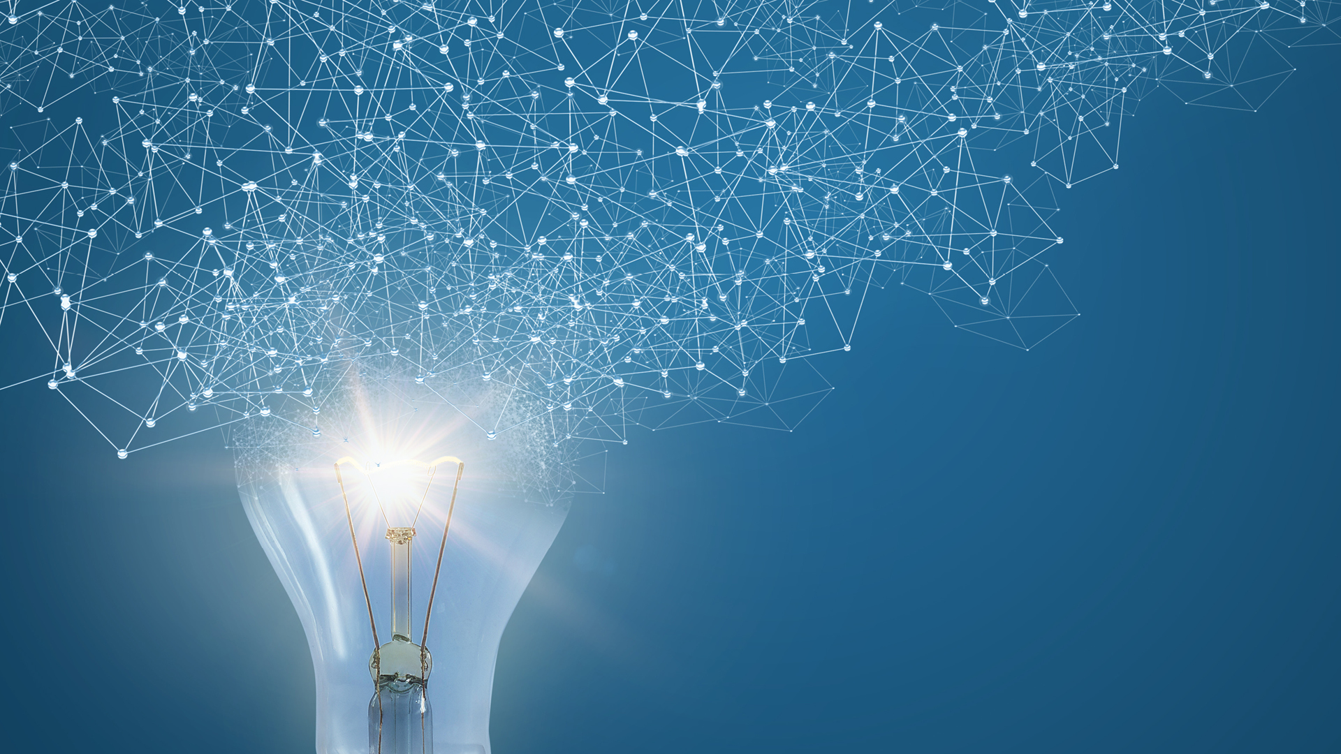 Lisa Lefever's Instagram, Twitter & Facebook on IDCrawl